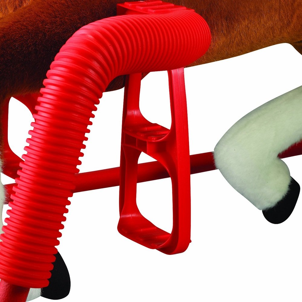 Tek Nek Lucky Plush Spring Horse : Amazon.in: Toys & Games