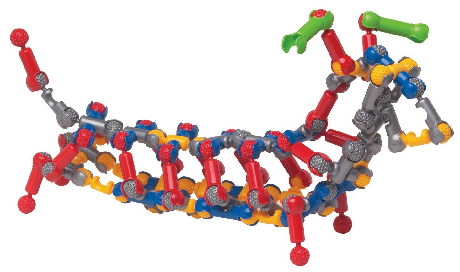 Amazon.com: ZOOB Dragster: Toys & Games