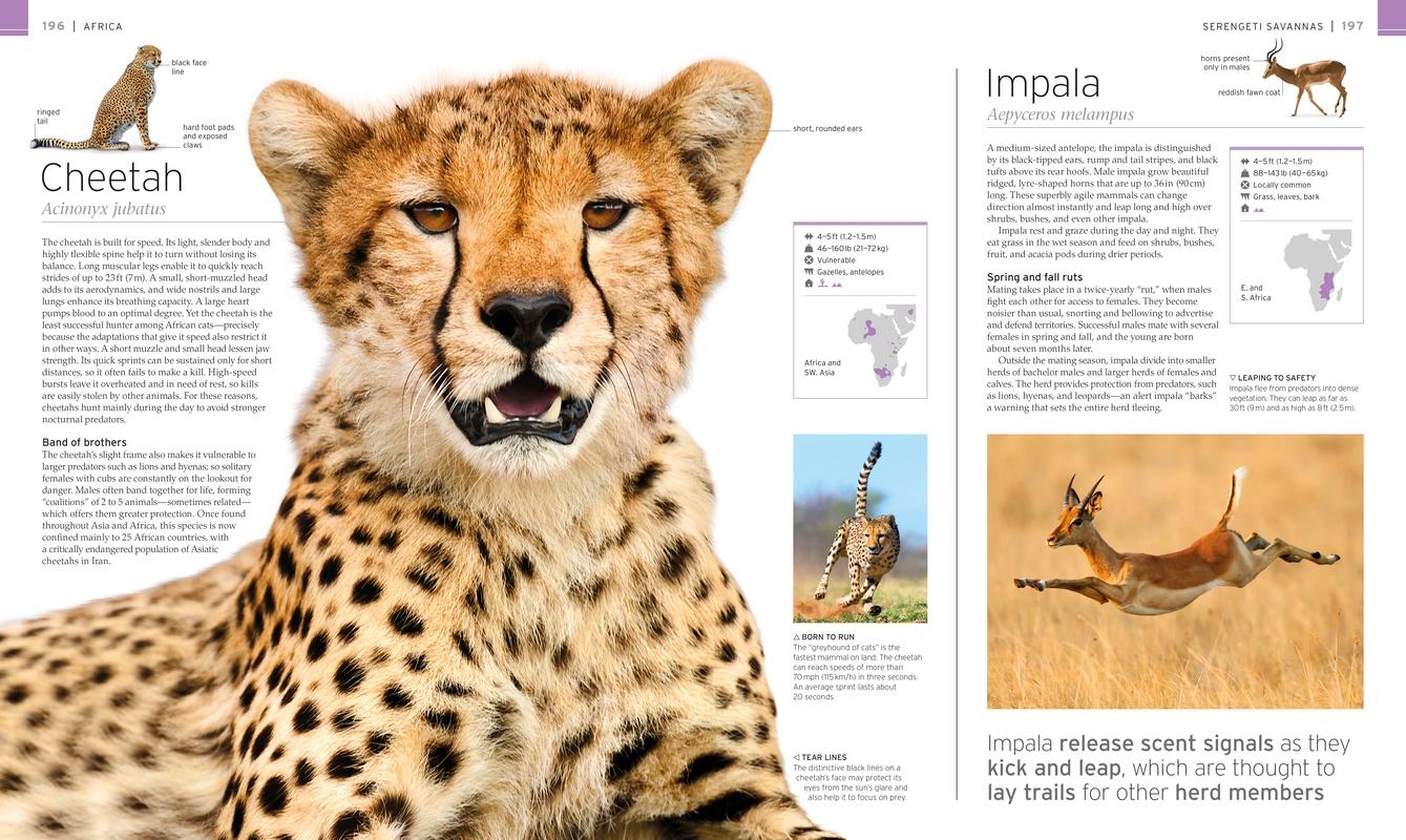 Wildlife of the World (Dk Smithsonian): DK Publishing, Don E. Wilson ...