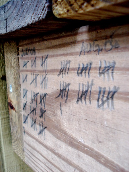 It’s been three days inside this hell, I mean, Holiday Inn… | Type High ...