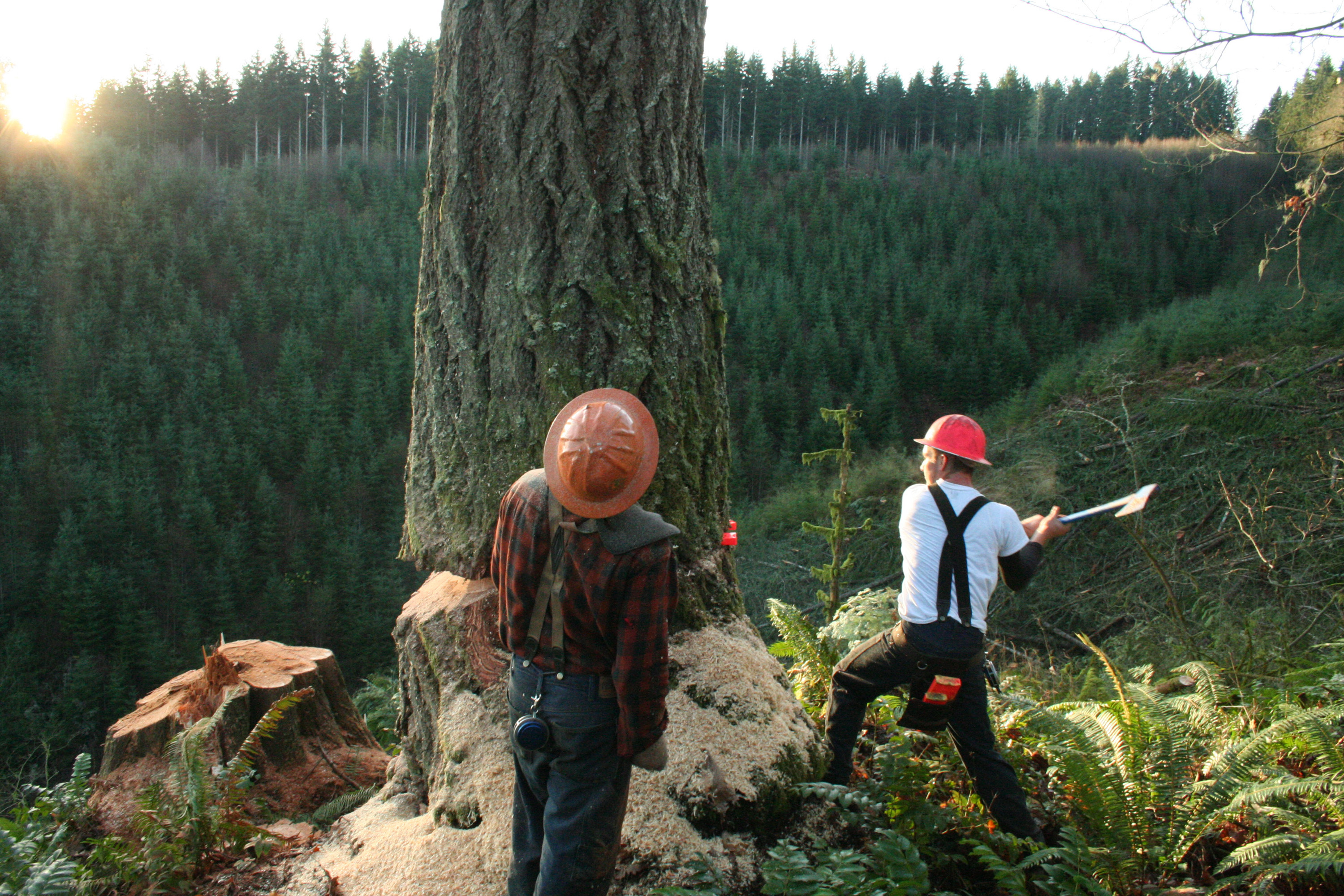 Ax Men Season 2 [DVD]: Amazon.de: DVD & Blu-ray